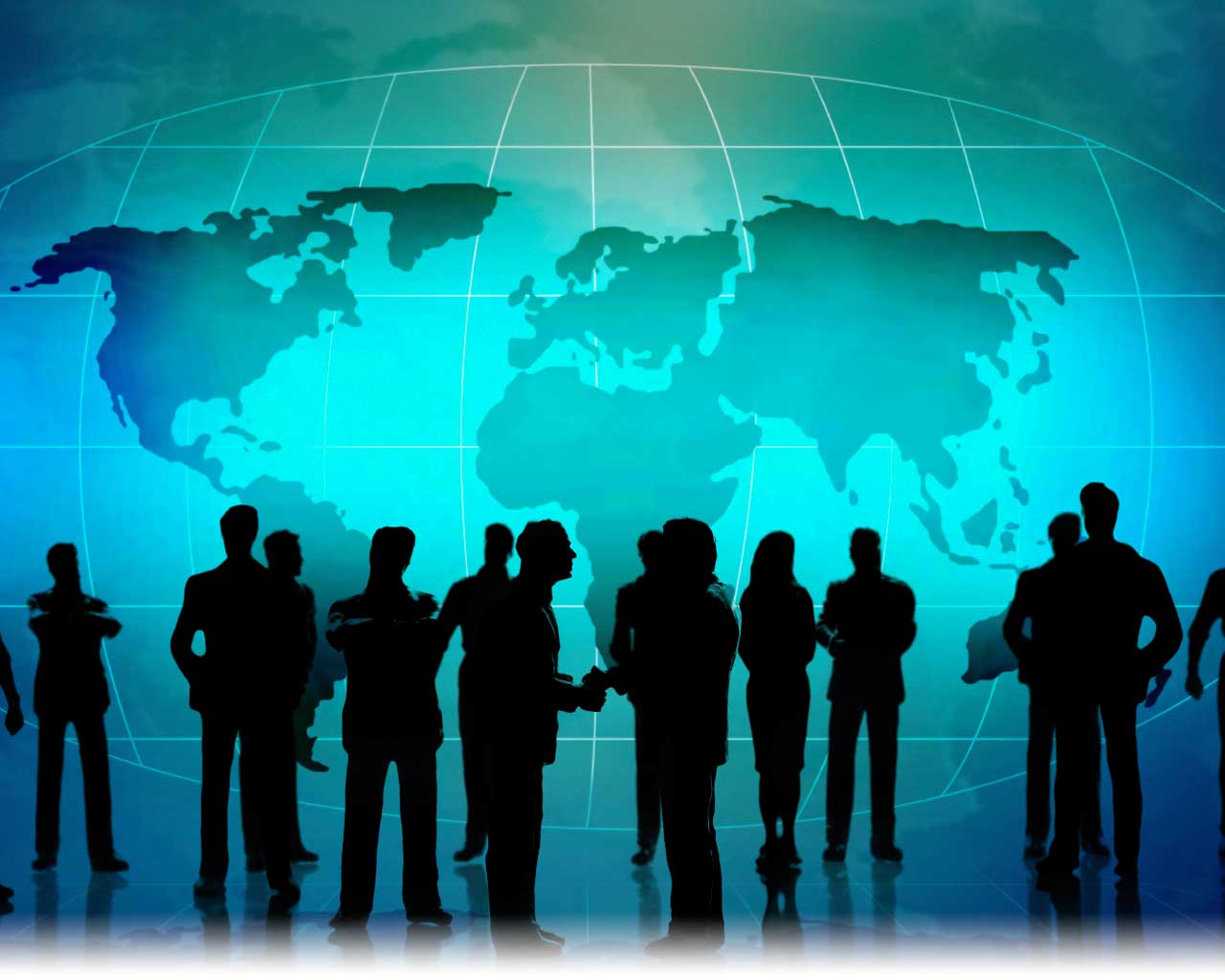 MSA Inc. - Transportation Logistics Solutions since 1978